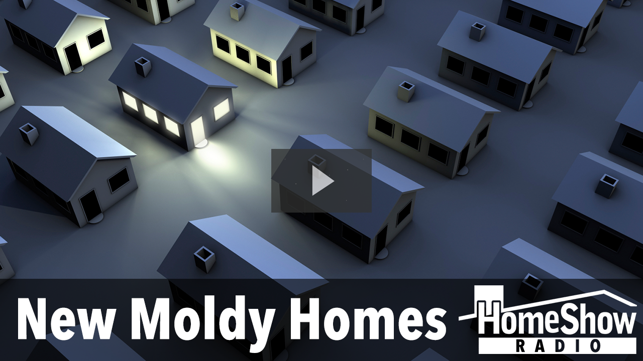 What's the solution for ridding mold from a moldy home? - HomeShow ...