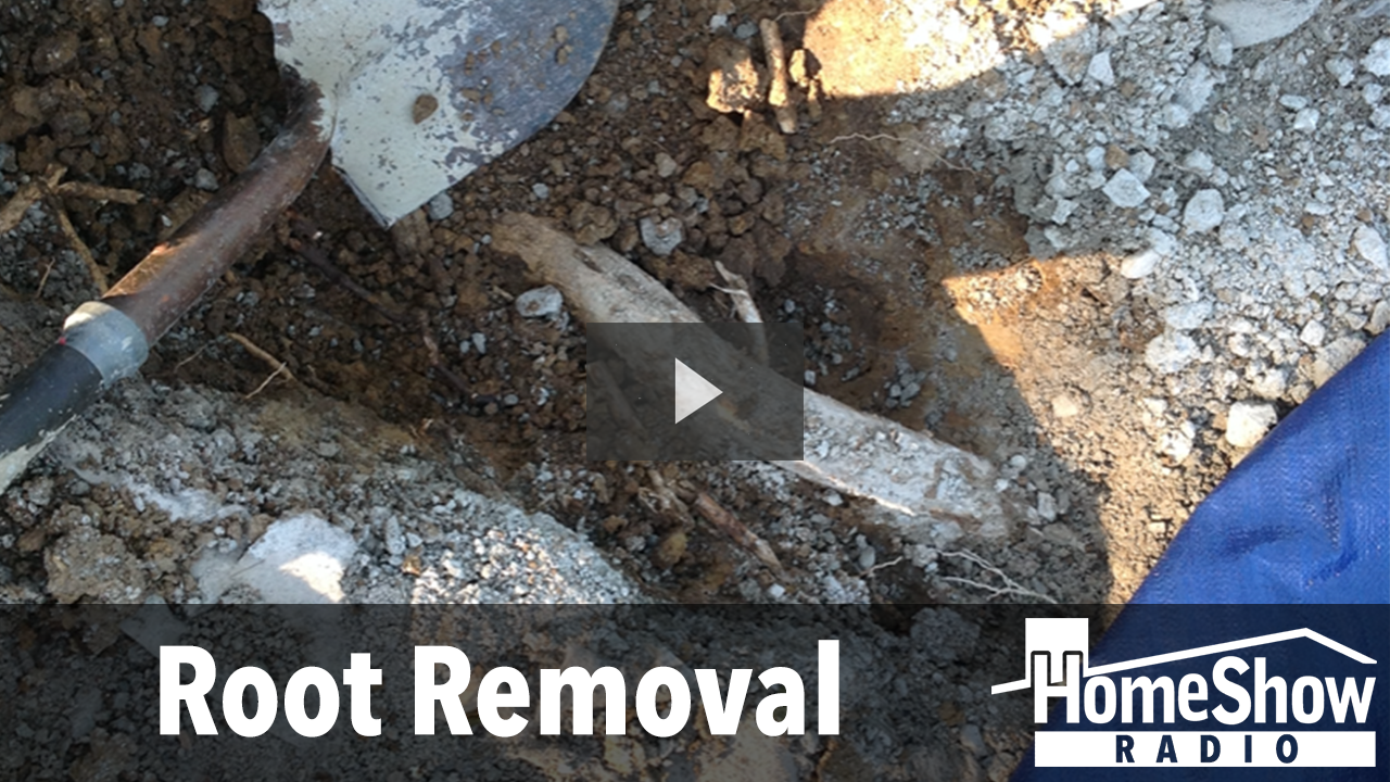 How do I remove a problem root without losing the tree? - HomeShow ...