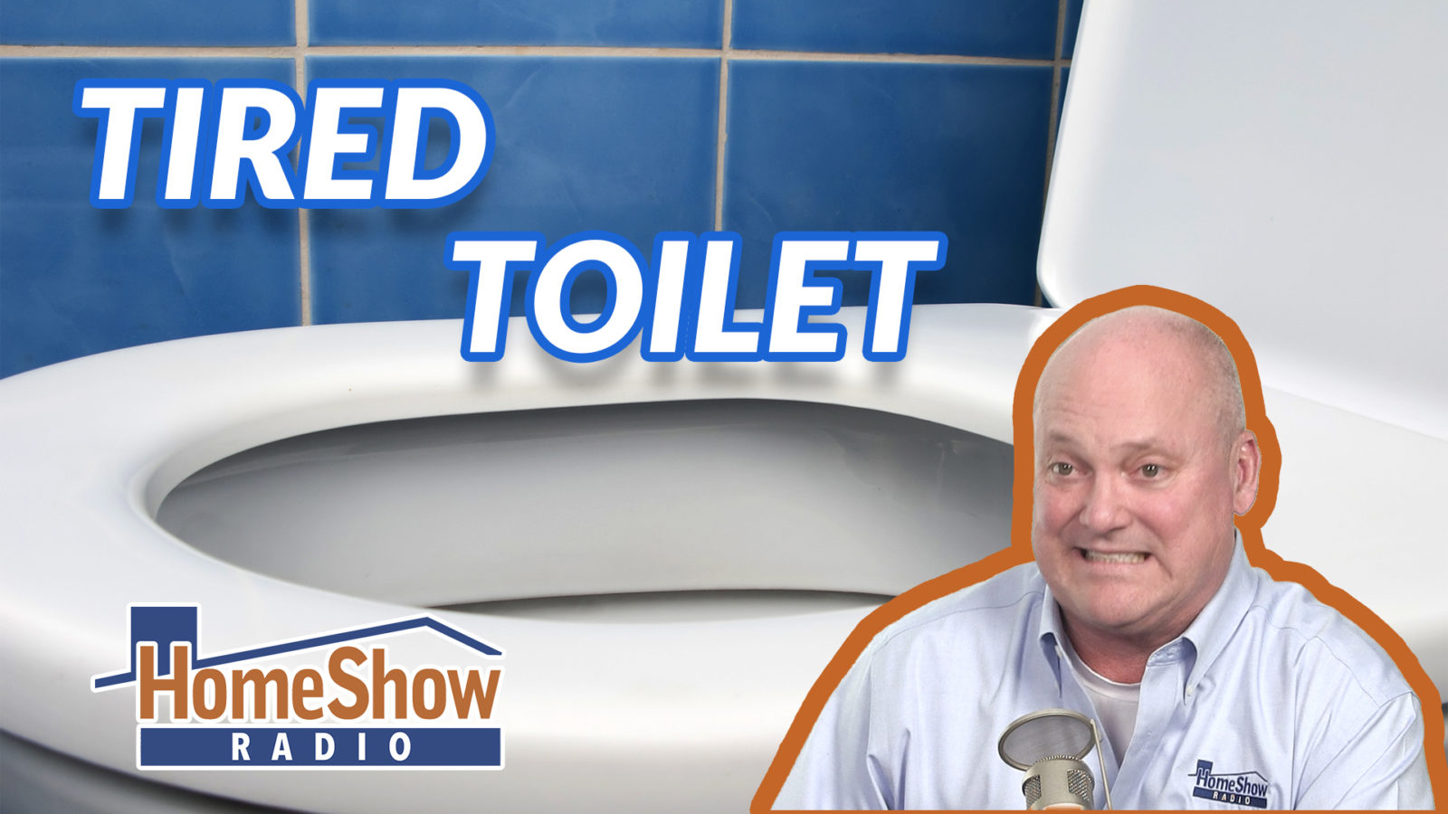 What can I do to extend the life of a 37 year old toilet? - HomeShow ...