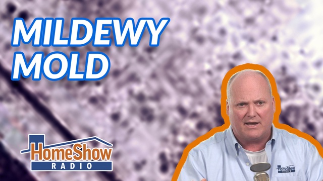 How can I tell the difference between mildew or mold? - HomeShow Radio ...